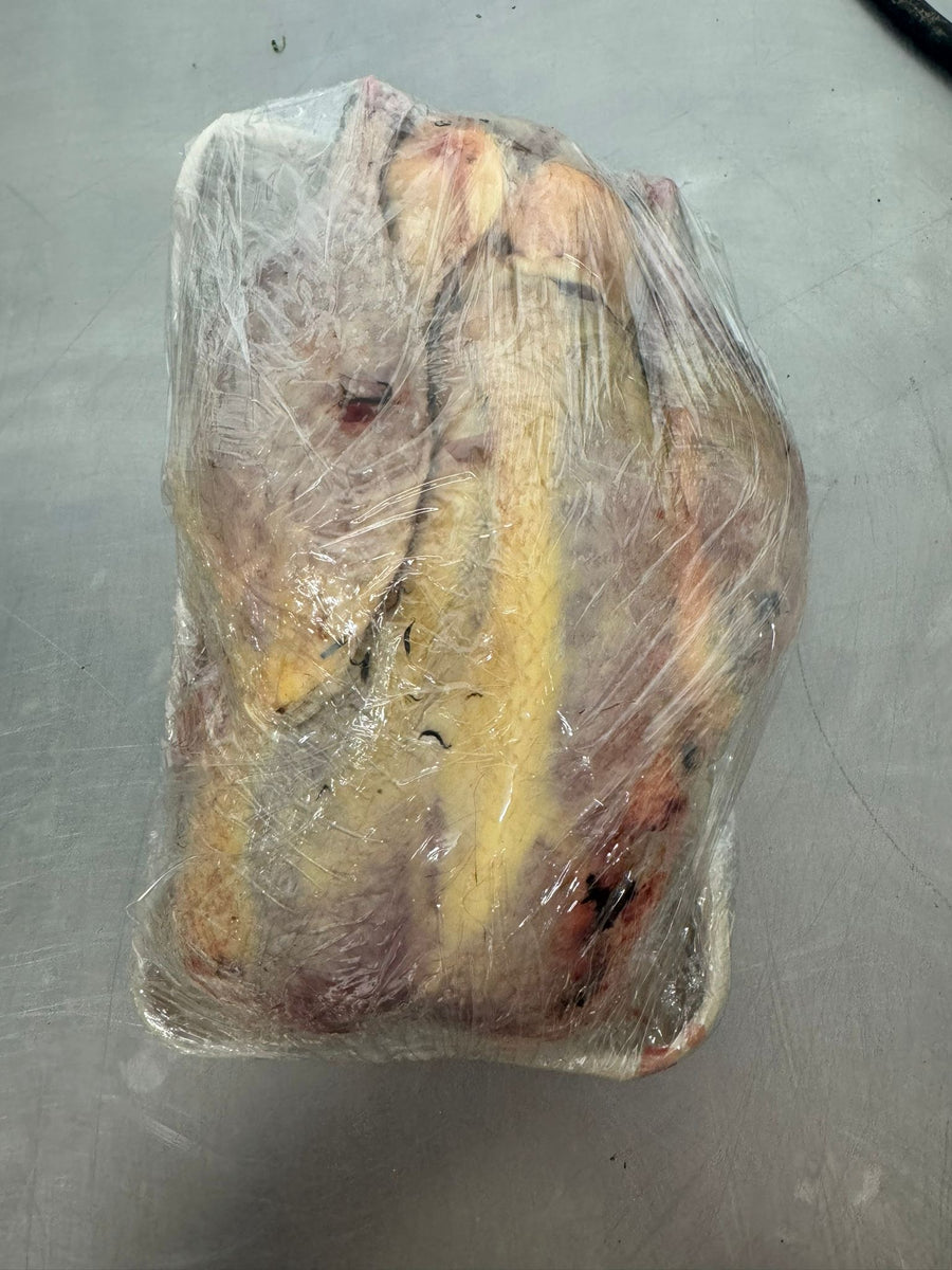 Wild Pheashant – Bramblebee Farms